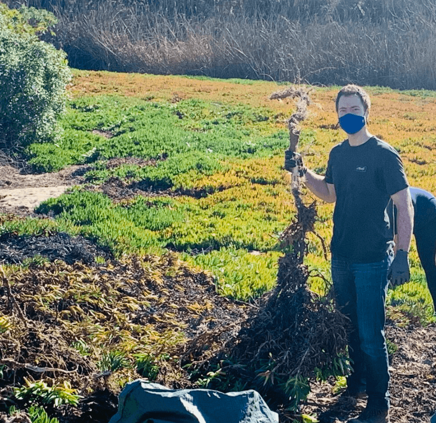 Project Aims to Restore Zuma/Westward Beach Habitats - The Bay Foundation