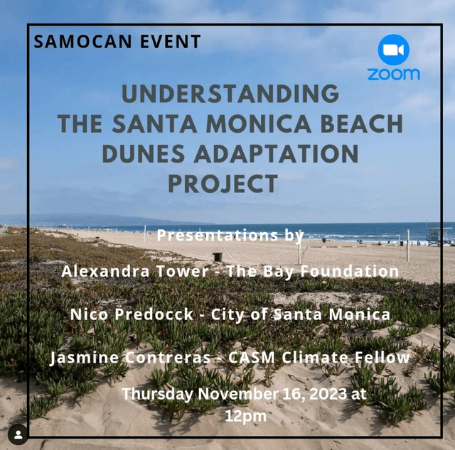 Understanding the Santa Monica Beach Dunes Adaption Project - The Bay ...