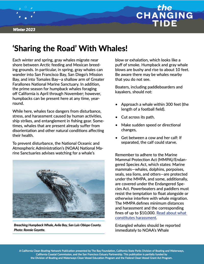 The Changing Tide - Winter 2023 - The Bay Foundation