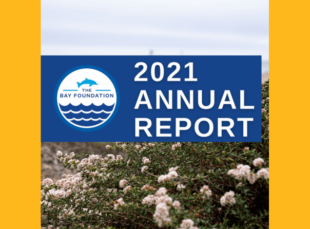Annual Reports - The Bay Foundation